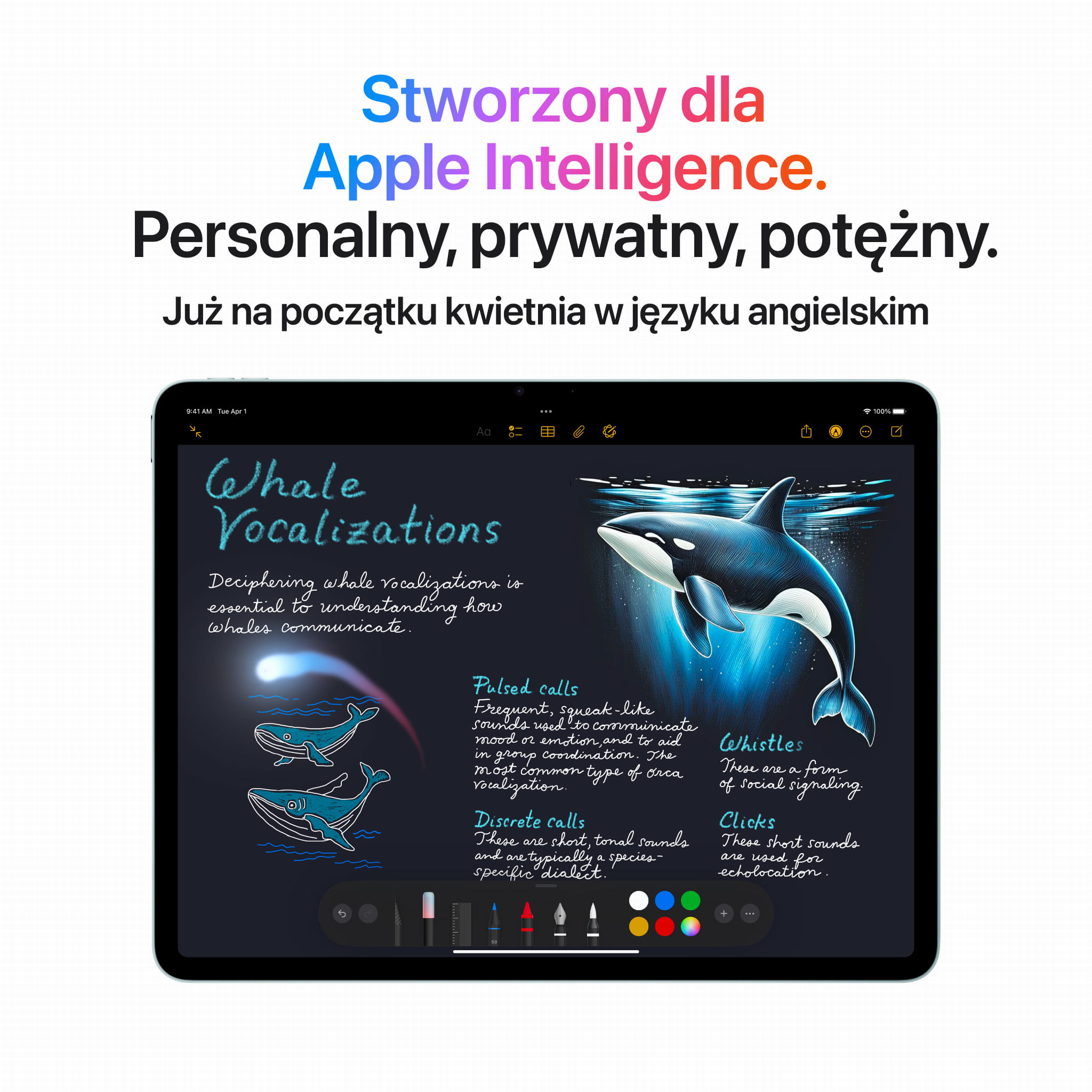 Tablet Apple iPad Air M3 13" Wi-Fi + Cellular 256GB (księżycowa ...